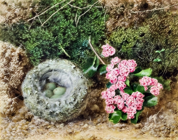John Sherrin | Still life of bird nest and flowers | MutualArt