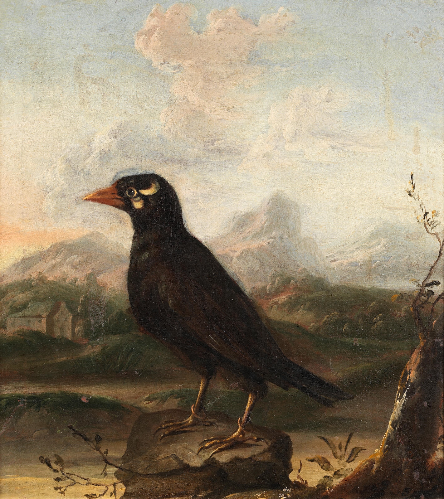 Aert Schouman | A mynah bird, an imaginary mountainous landscape beyond ...