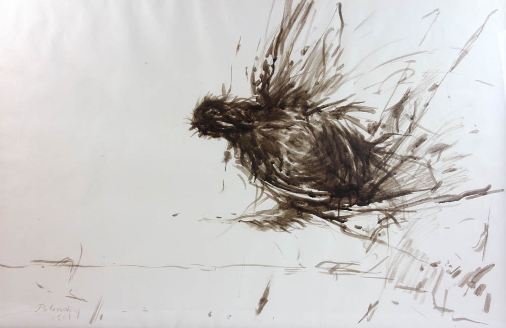 Arthur Polonsky | Female figure sketch (1953) | MutualArt