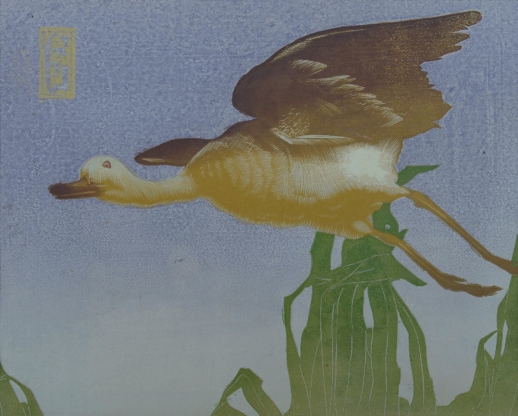 Vaughan Murray Griffin | Goose in Flight | MutualArt