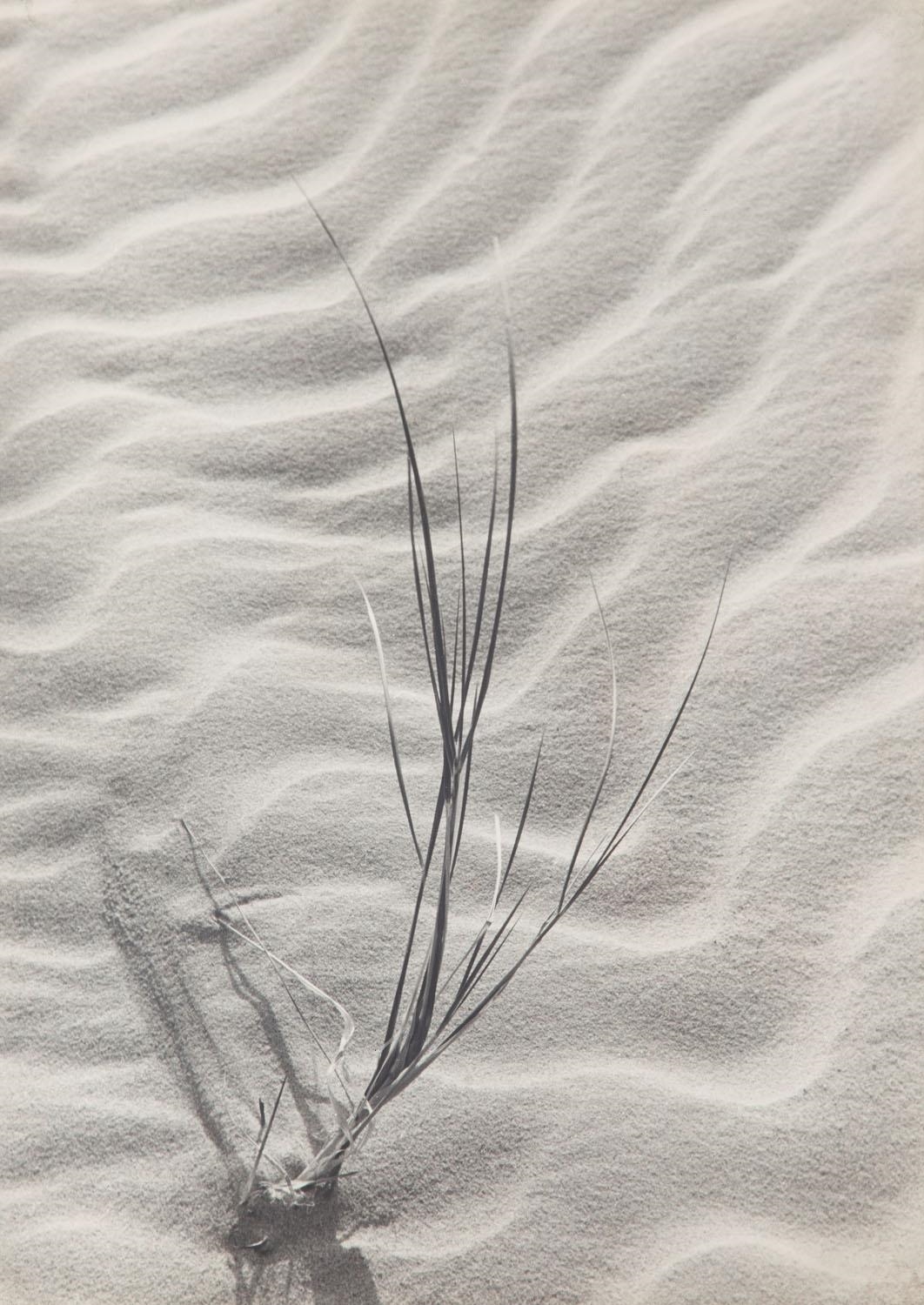 Stefan Arczynski | Quicksand | MutualArt