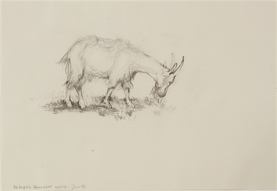 Dido Crosby | OLD ENGLISH NANNY GOAT EATING | MutualArt