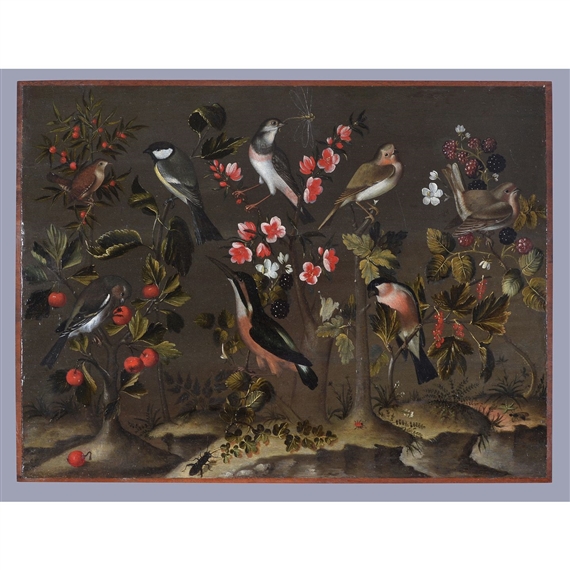 Charles Collins | Study of birds, flowers and insects | MutualArt