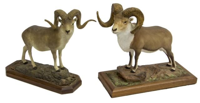 Louis Paul Jonas | 2 Works:Tibetan Argali & Marco Polo Argali | MutualArt