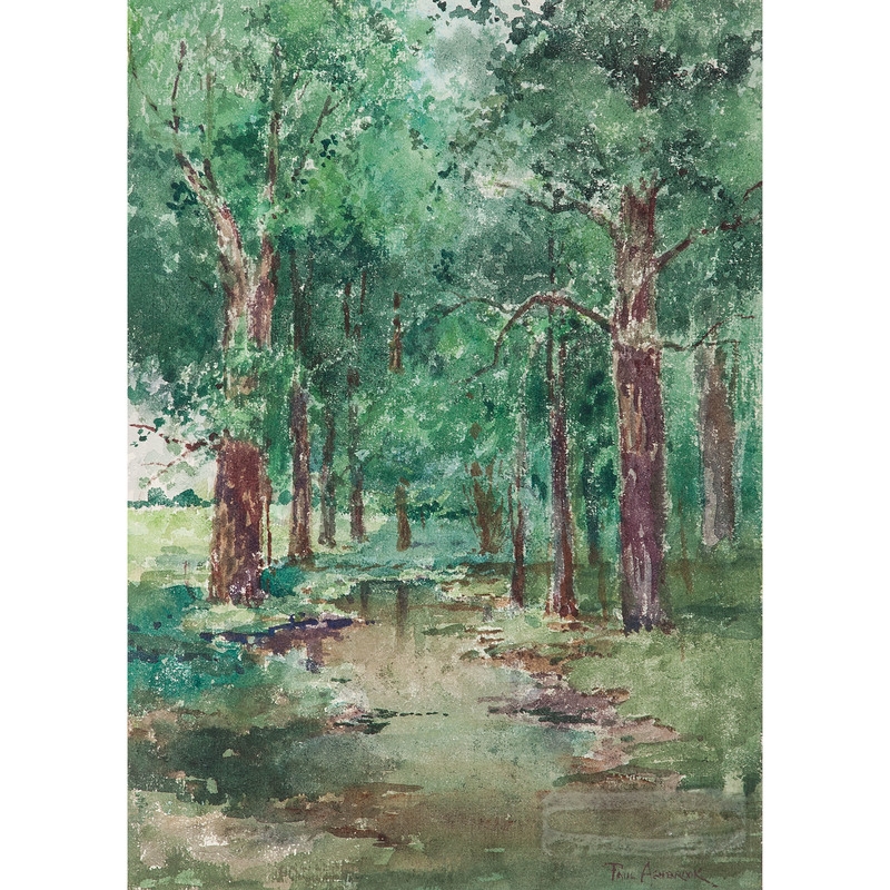 Paul Ashbrook | Forest Scene | MutualArt