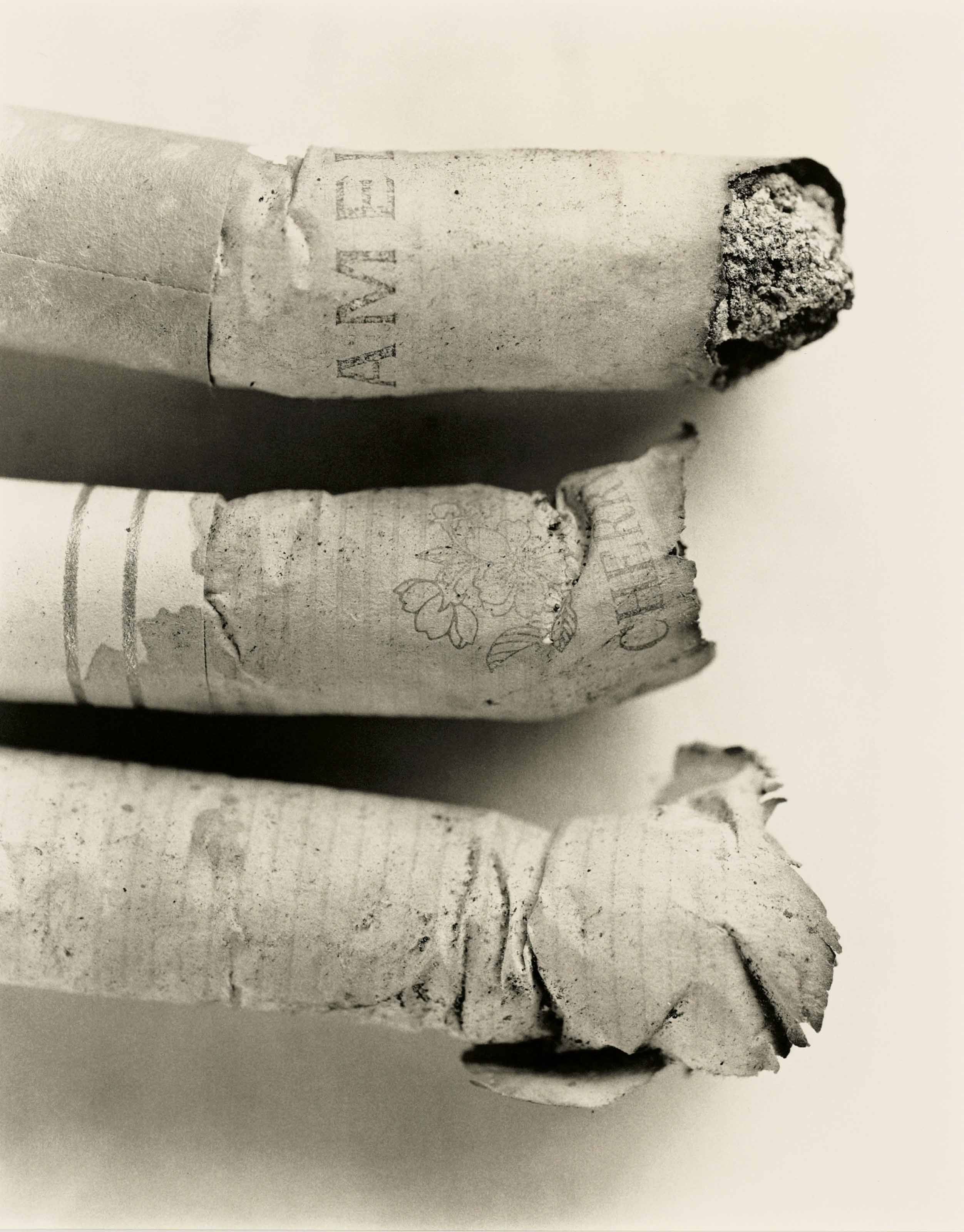 Irving Penn Still Life Cigarette