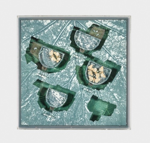 Harold Studer | 6 Artworks at Auction | MutualArt