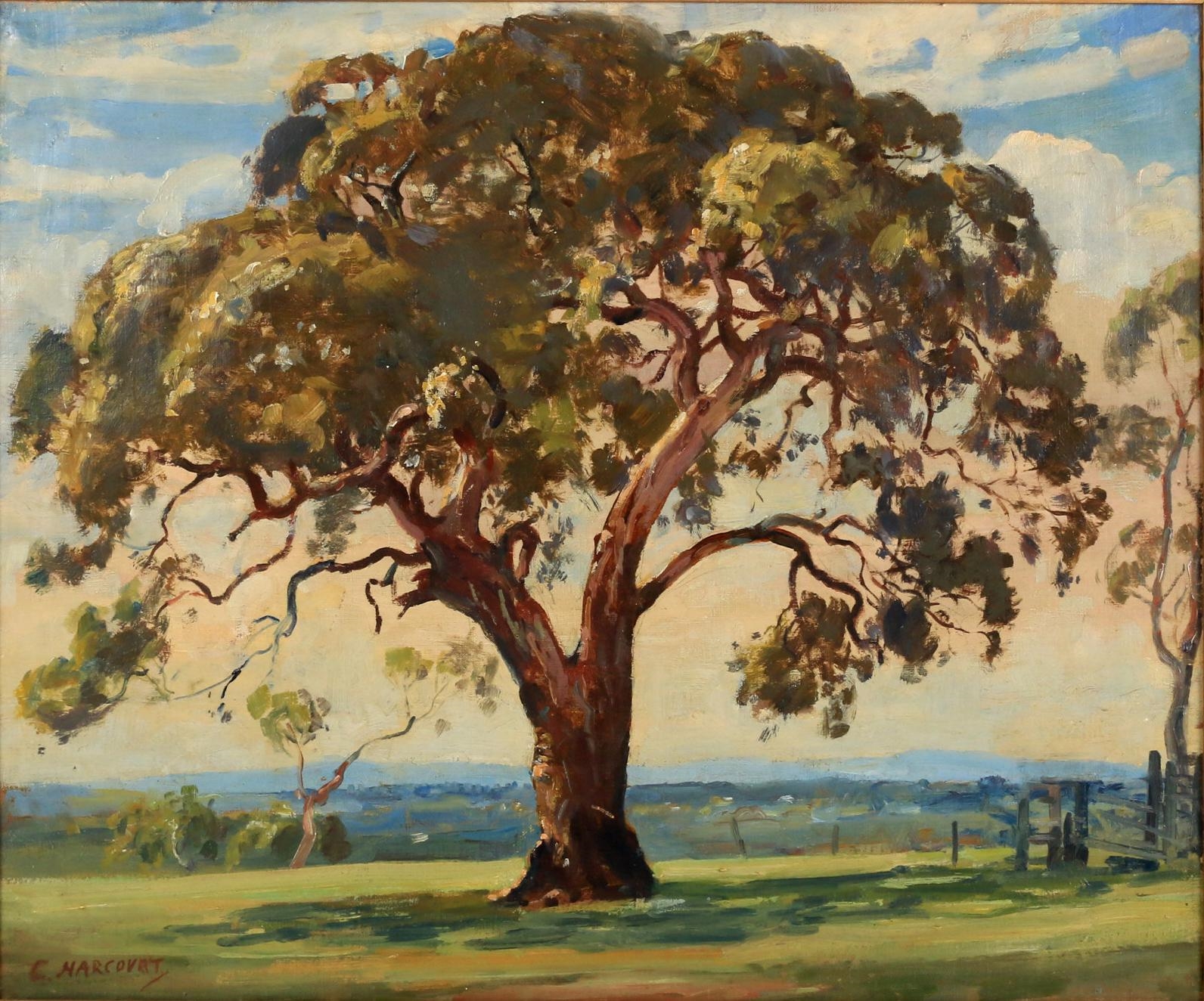 Clewin Harcourt | The Gum Tree | MutualArt