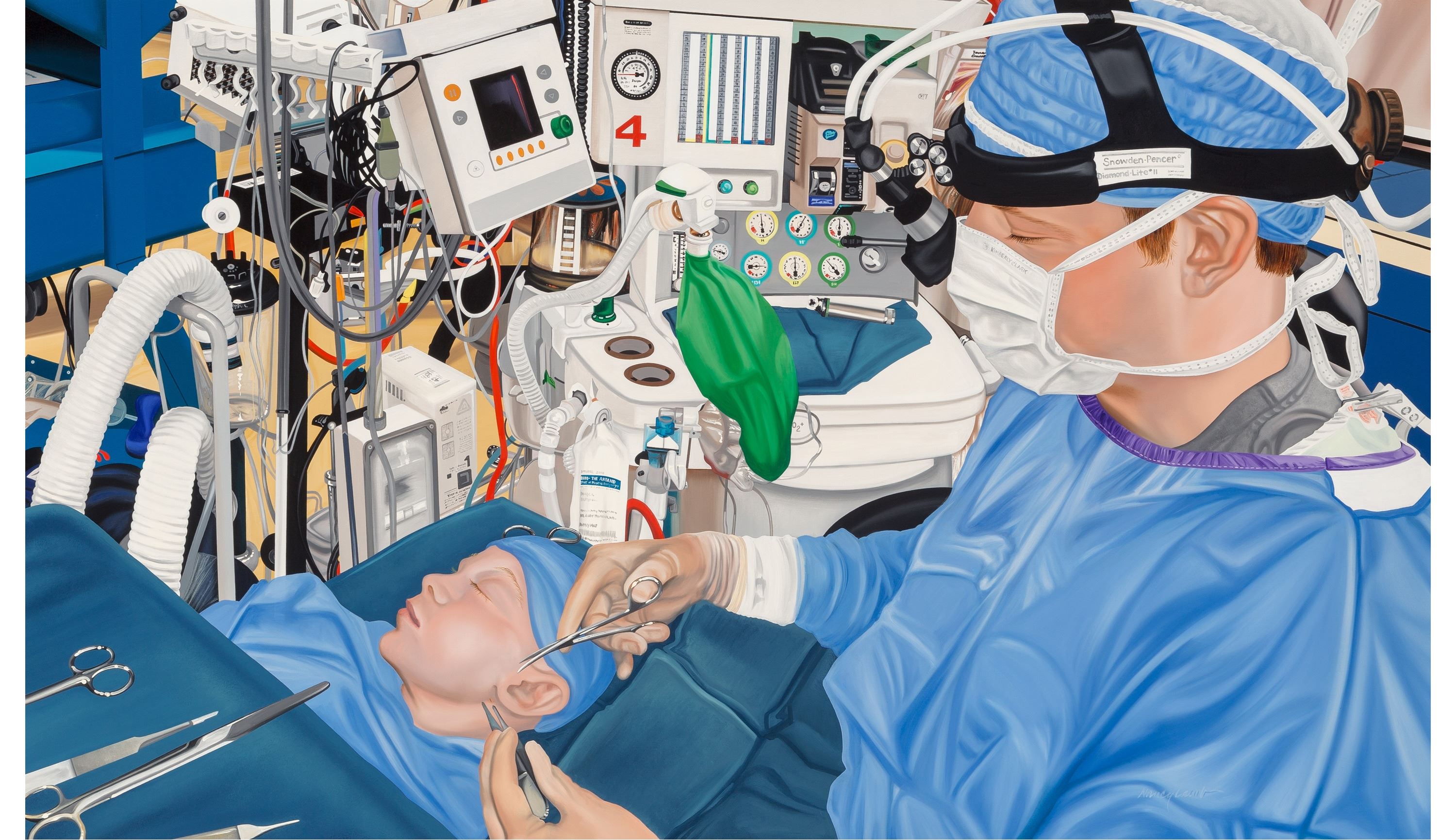 Nancy Lamb | The Art and Craft of Plastic Surgery | MutualArt