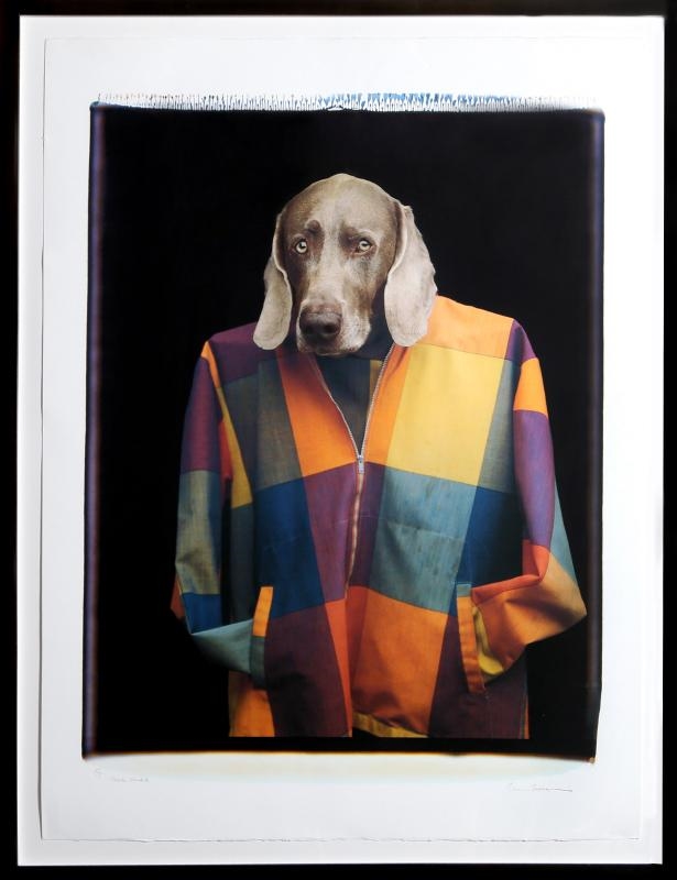 William Wegman | 2 Works: Override and Overview (1993) | MutualArt