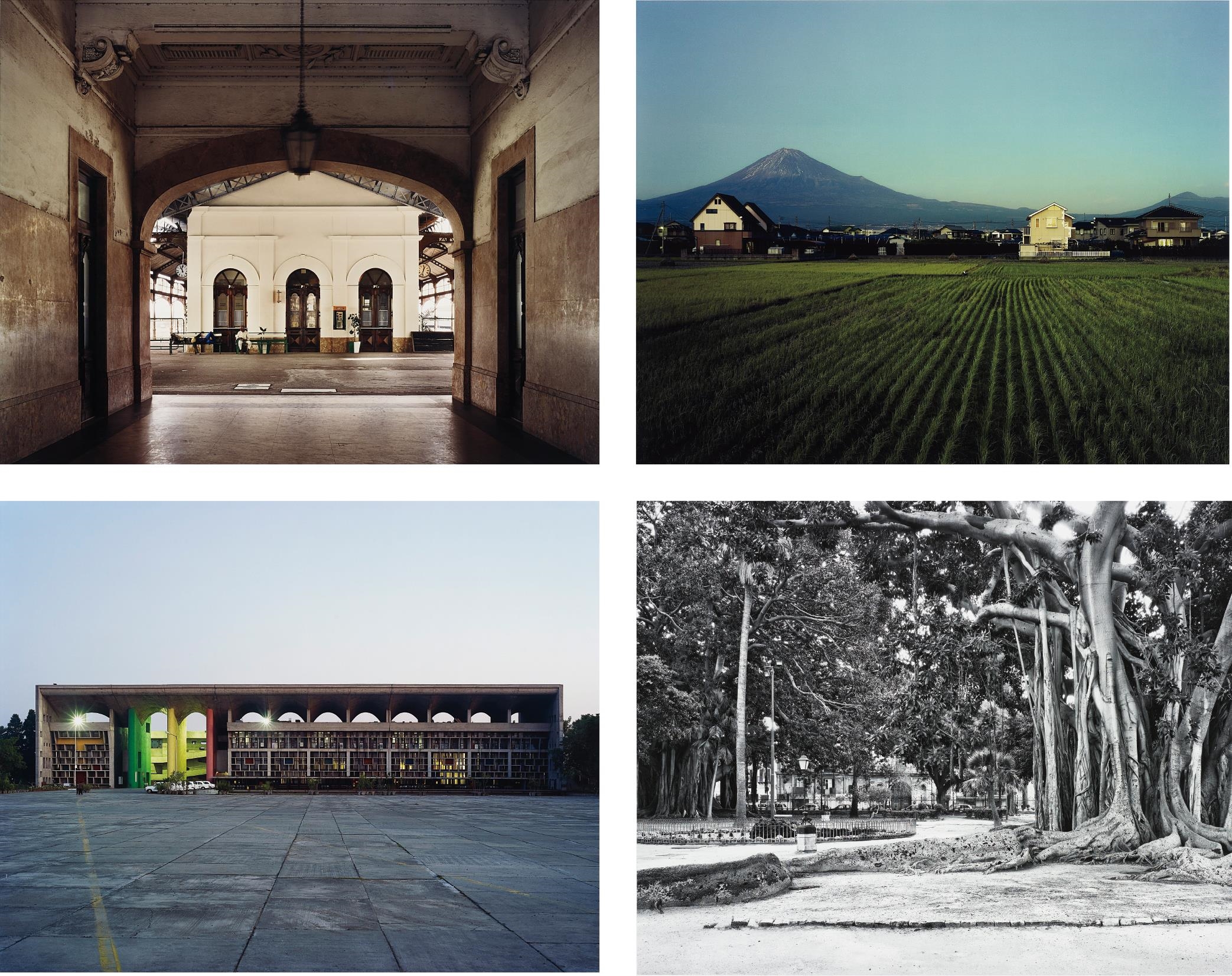 John Riddy | Selected works (2004 - 2012) | MutualArt