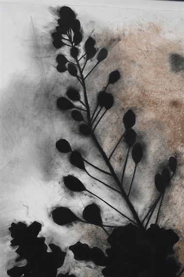 Susan Davidoff | 20 Artworks | MutualArt