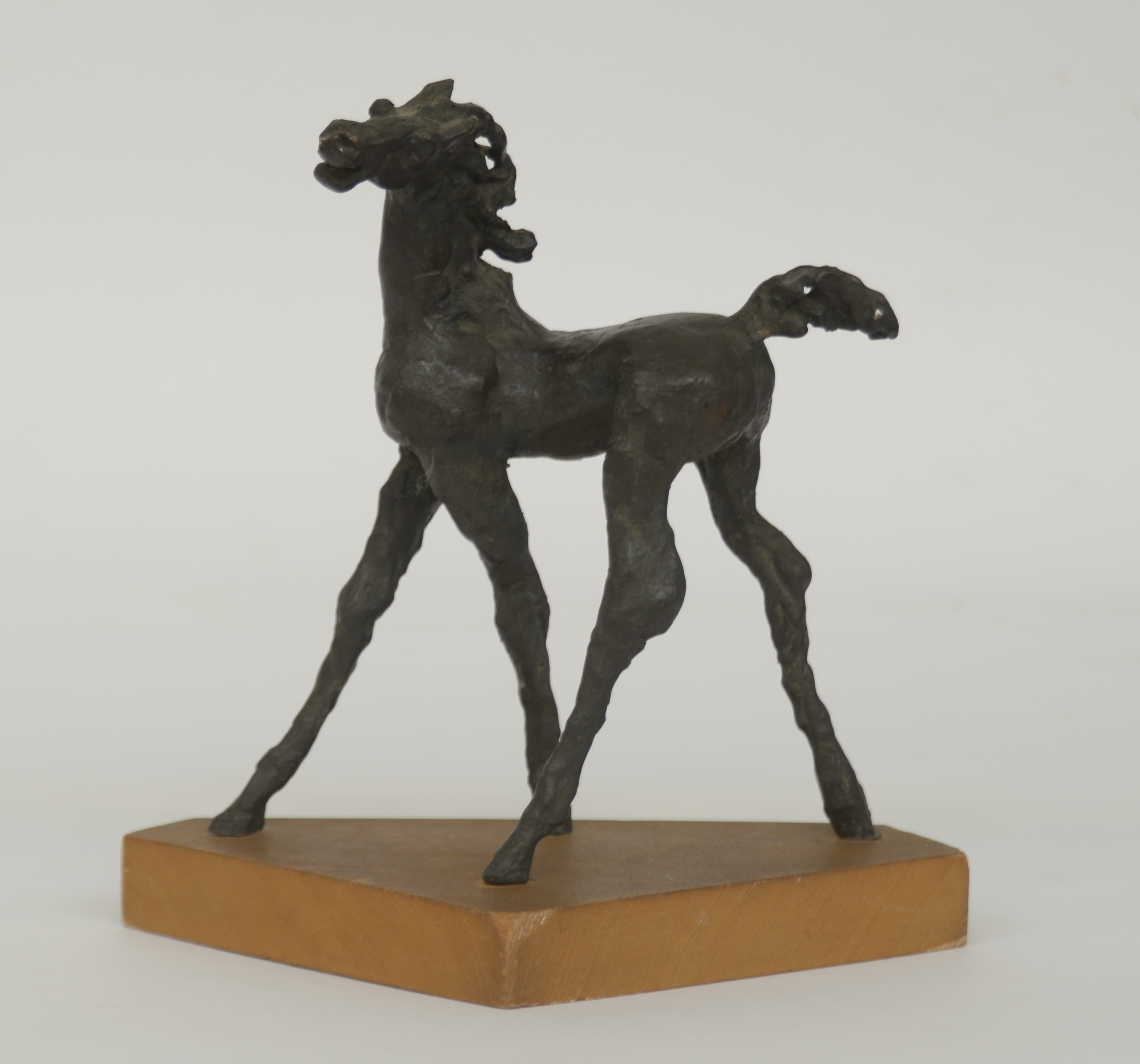Augusto Murer | Cavallo | MutualArt