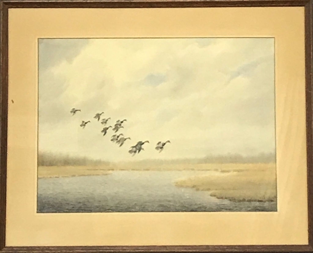 J. D. Knapp | Canvasbacks in flight | MutualArt