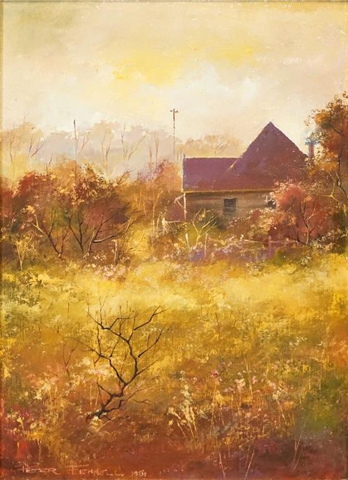 Peter Fennell | Untitled (1981) | MutualArt