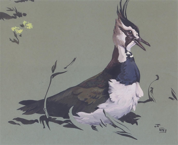 Richard Barrett Talbot Kelly | A lapwing | MutualArt
