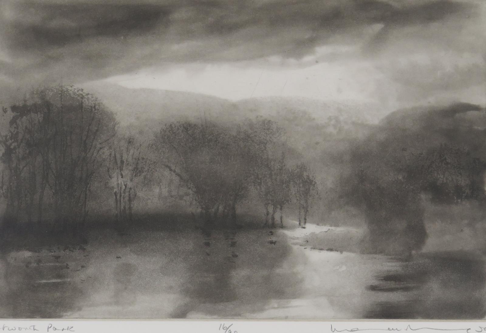 Norman Ackroyd | Petworth Park (1994) | MutualArt