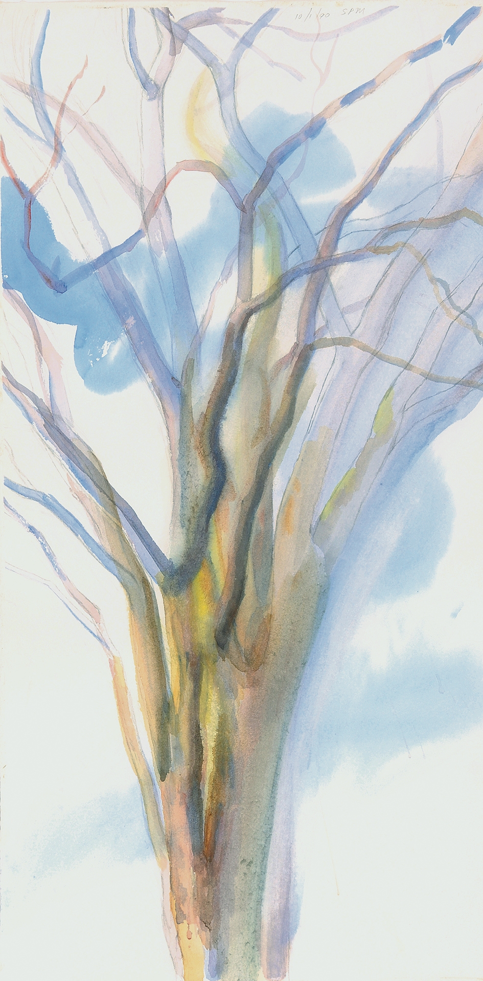 Sylvia Plimack Mangold | The Elm Tree | MutualArt