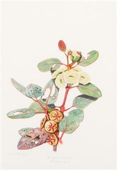 Philippa Nikulinsky | 22 Artworks at Auction | MutualArt