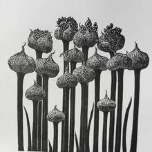 Trevor Haddrell | 6 Artworks at Auction | MutualArt