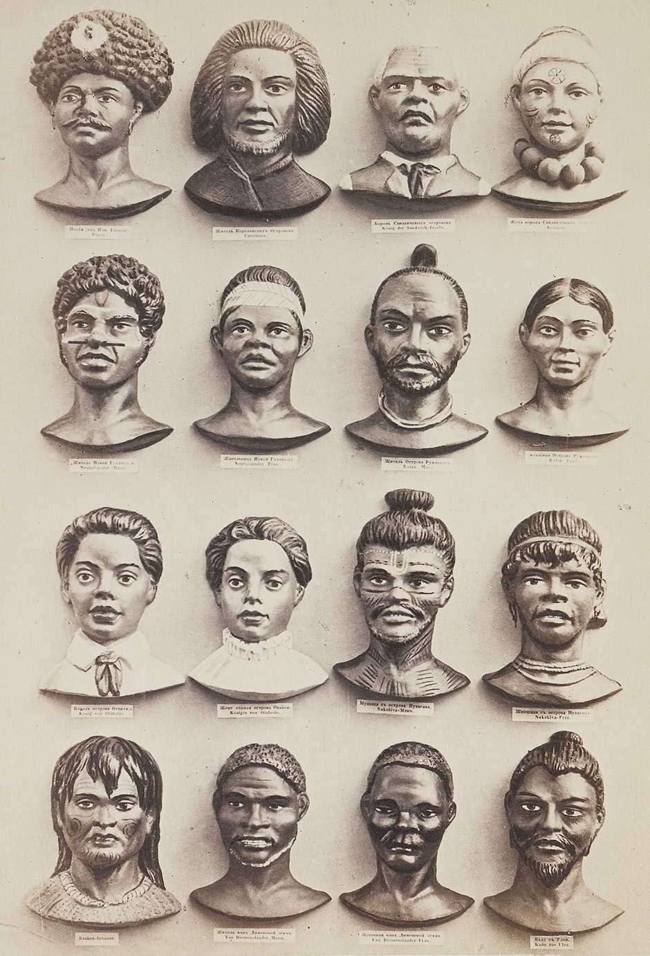 Karl Konrad Friedrich Bauer | 7 works, Types principaux des differentes ...