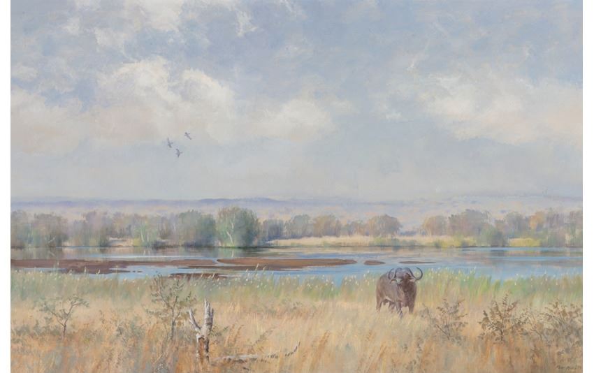 Paul Wiles | A View of the Oliphant River | MutualArt