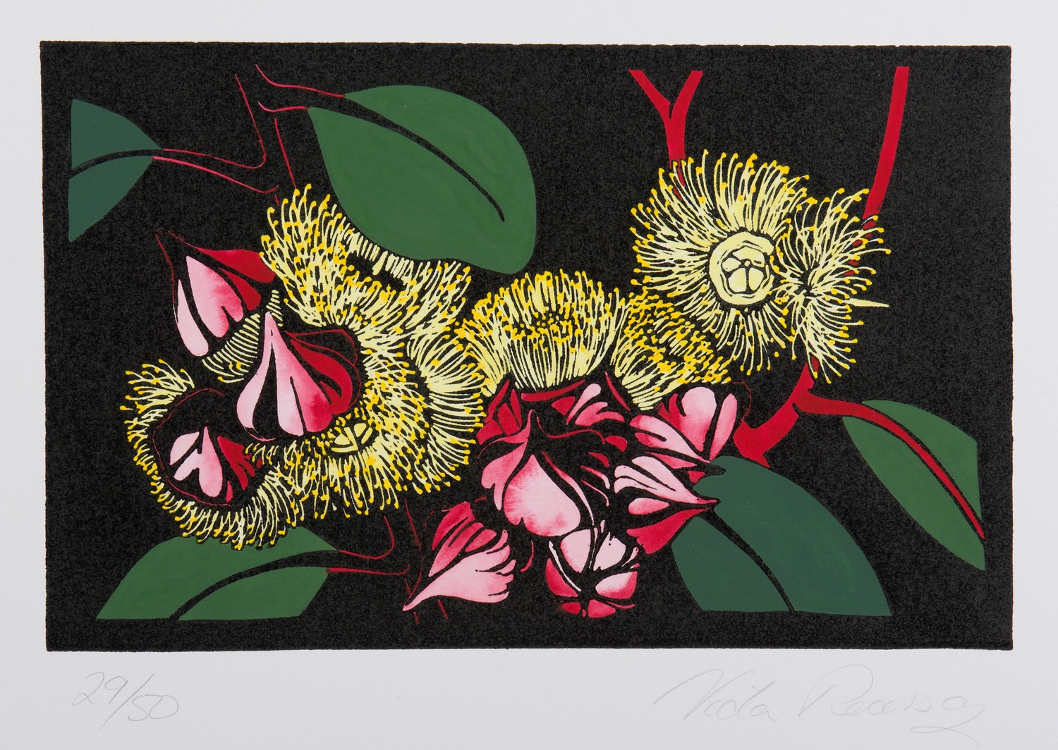 Vida Pearson | Eucalyptus Pachyphylla | MutualArt