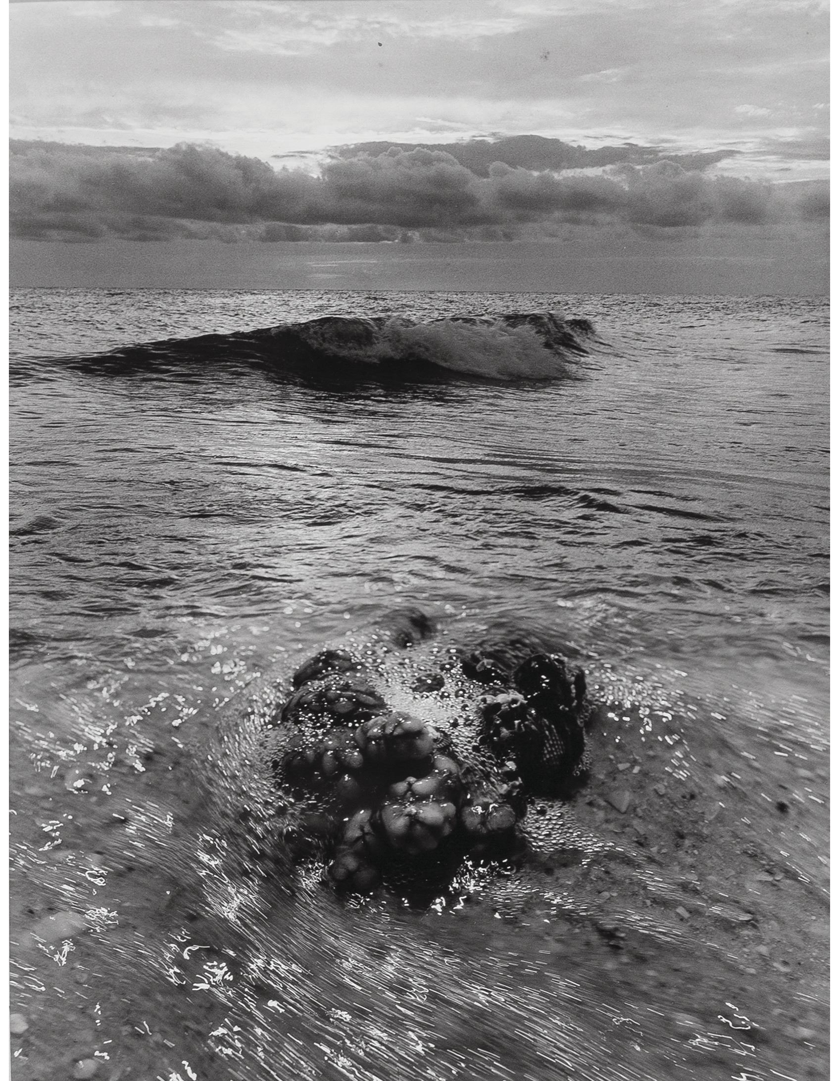 Jerry Uelsmann | Floating Tree (1969) | MutualArt