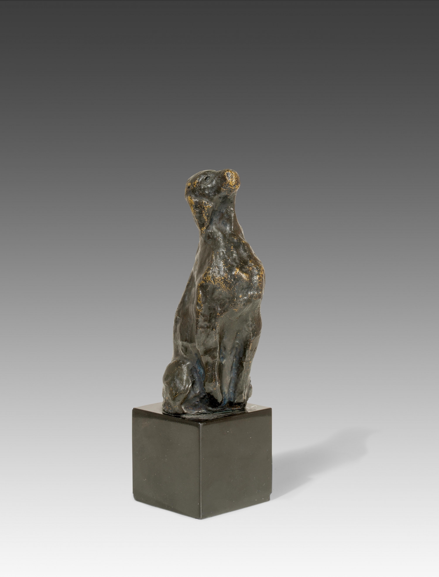 Pierre Bonnard | Chien | MutualArt