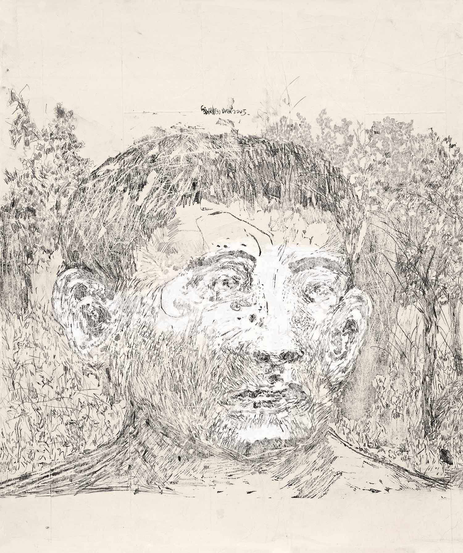 Liu Hong Wei | PORTRAIT NO.1 (2005) | MutualArt