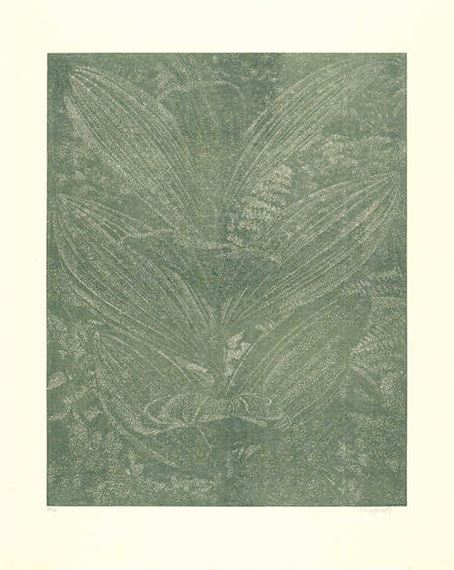 Franz Gertsch | Gelber Enzian (Sepia) (2003) | MutualArt