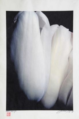 Jonathan Singer | Tulip (2012) | MutualArt