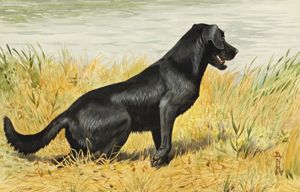 Boris Riab | Cocker Spaniel with Woodcock | MutualArt