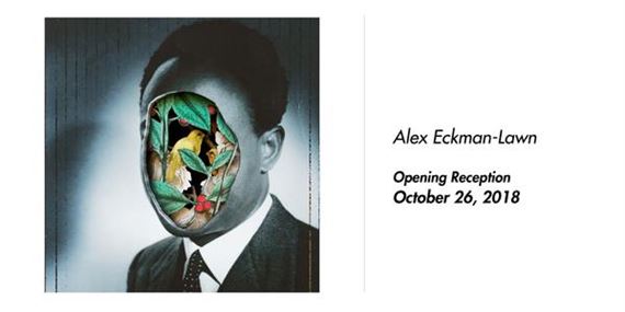 Alex Eckman-Lawn | Artist Overview | MutualArt