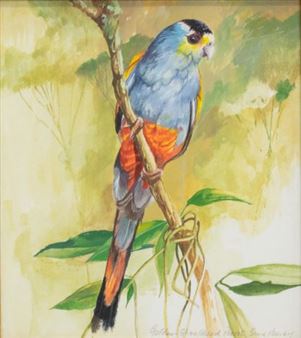 Bruce Harvey | 15 Artworks at Auction | MutualArt