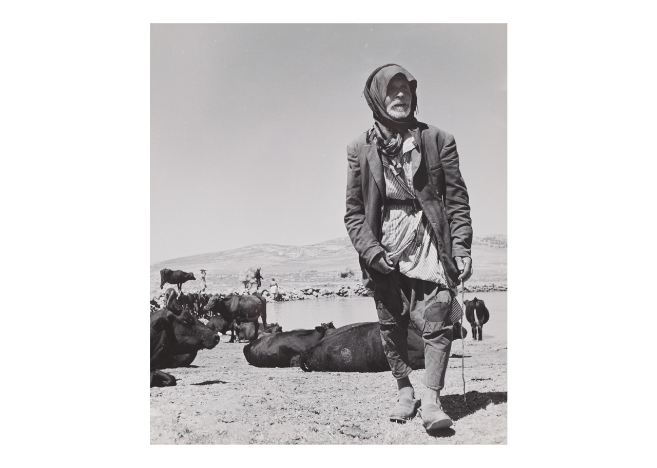 Robert Capa | THIS IS ISRAEL (1948) | MutualArt