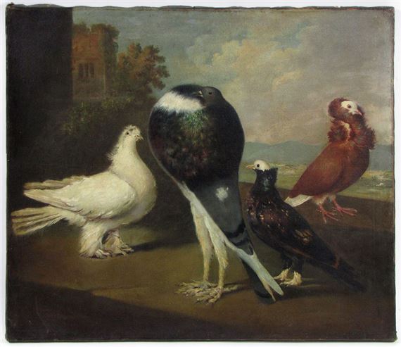 Italian School, 18th Century | Exotic Flaunting Birds | MutualArt