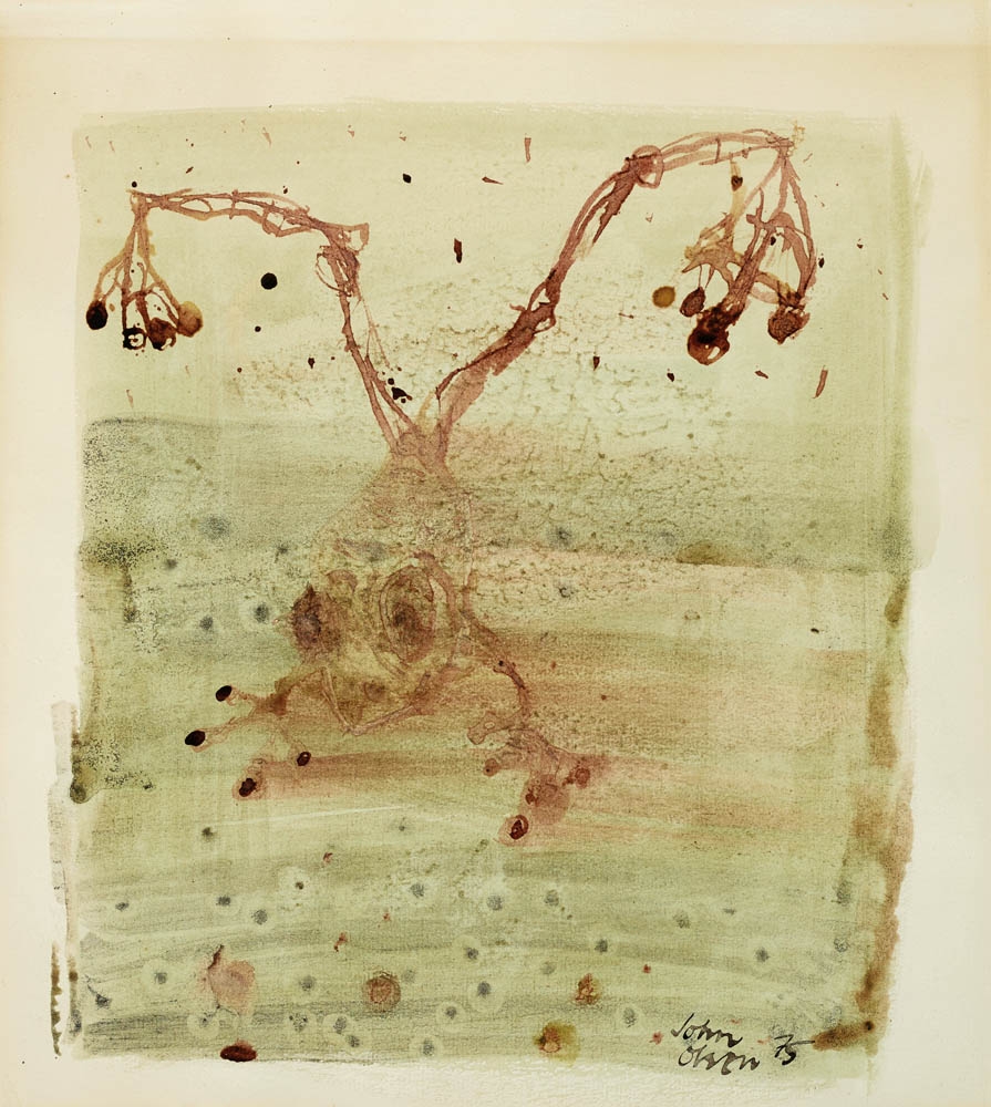 John Olsen | Frog | MutualArt