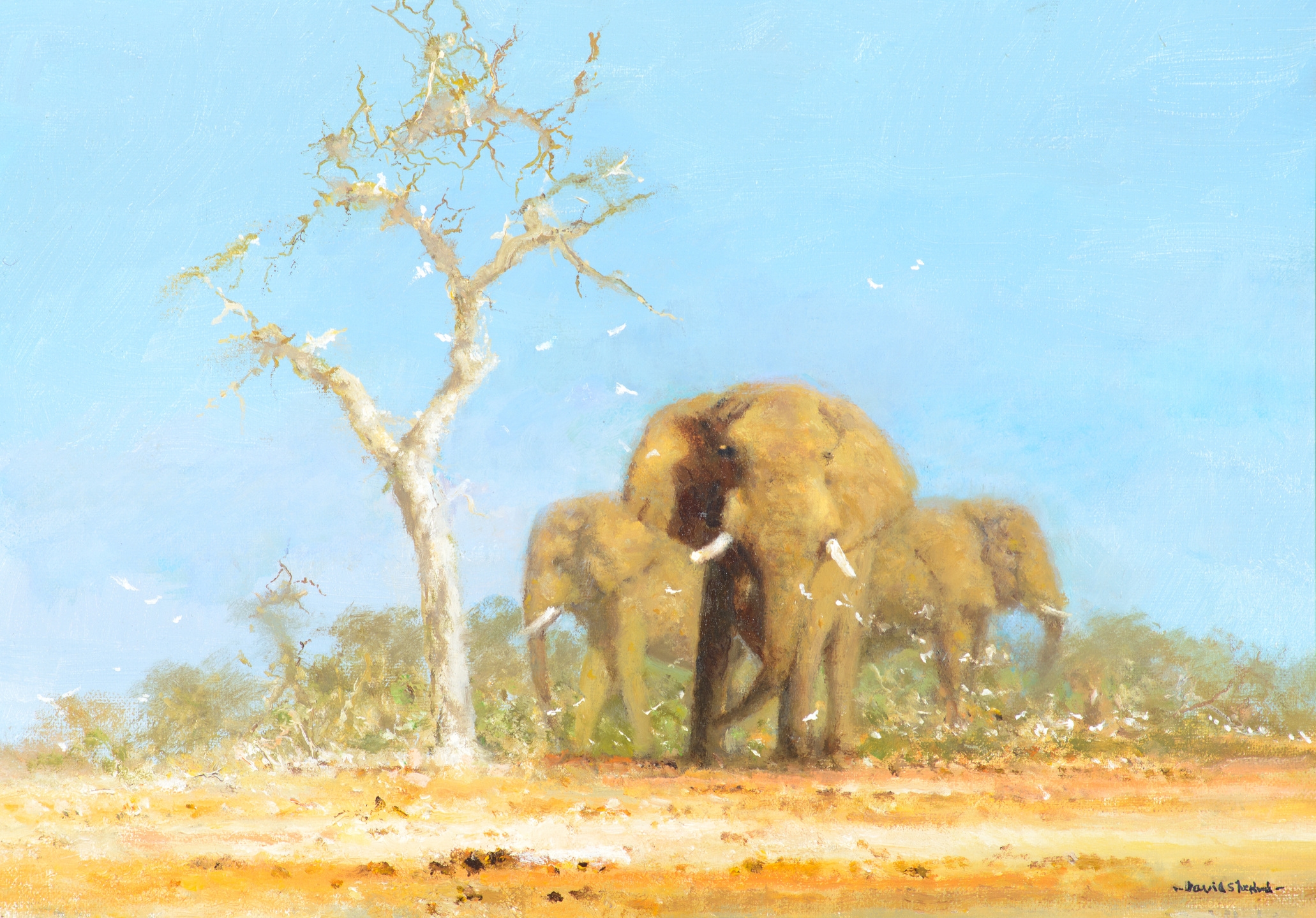 David Shepherd | Elephant Country (2001) | MutualArt