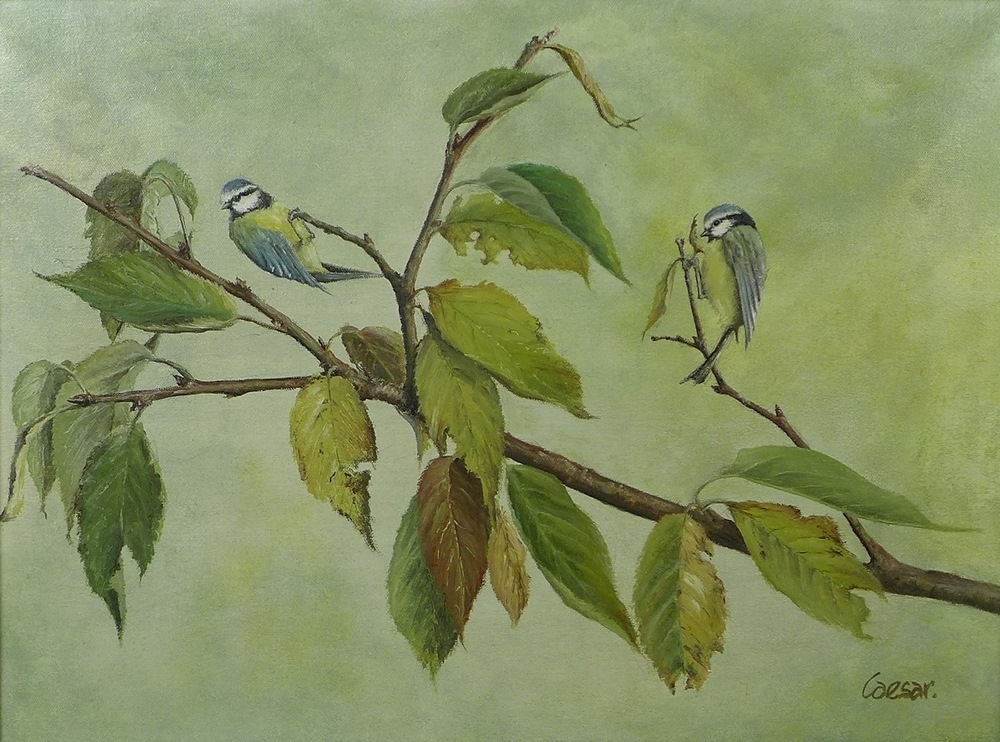 John Caesar Smith | Two blue tits on a leafy cherry tree branch | MutualArt