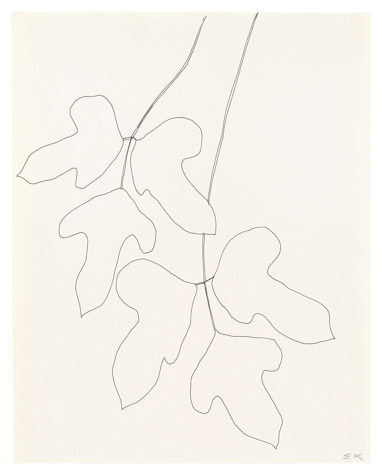 Ellsworth Kelly | Leaves (1992) | MutualArt