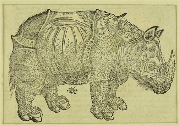 Albrecht Dürer | Rhinoceros (Circa 1550) | MutualArt