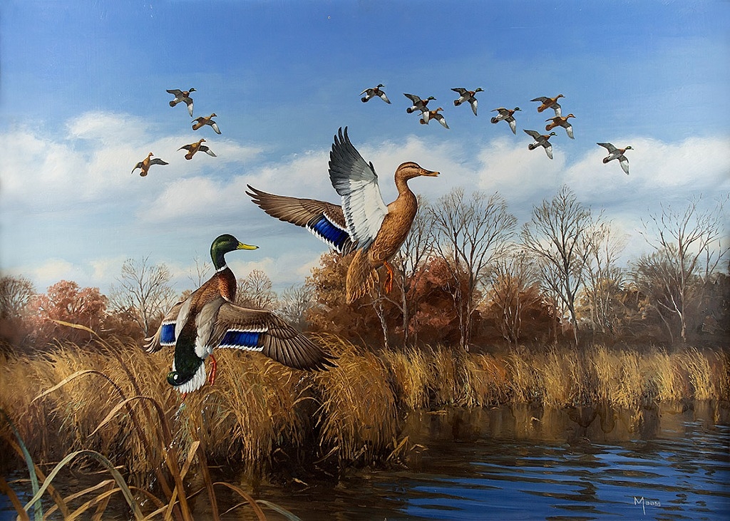 David Maass | Mallards Taking Flight | MutualArt
