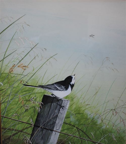 Steven Townsend | Study of a pied wagtail on a fence post (1982 ...