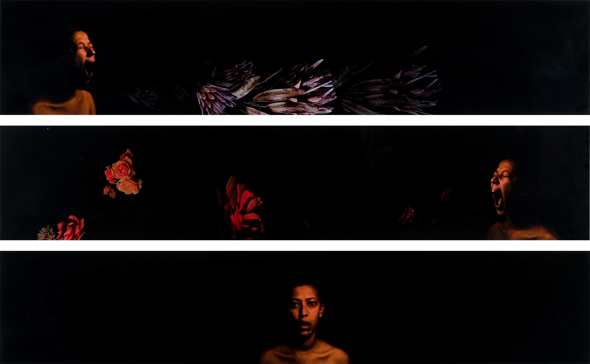 Gabrielle Goliath | Banquet III | MutualArt