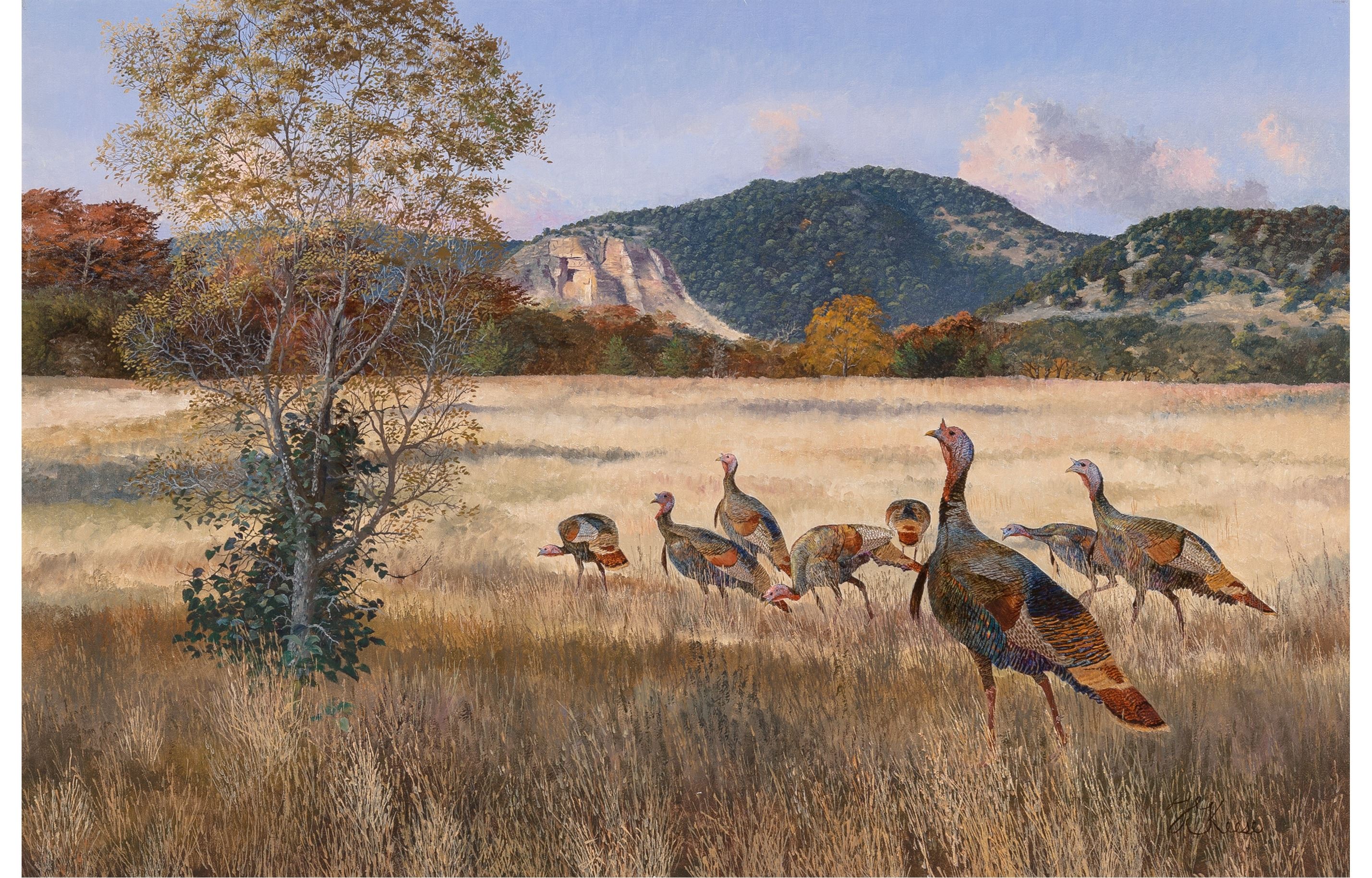 Travis Keese | Wild Turkeys | MutualArt