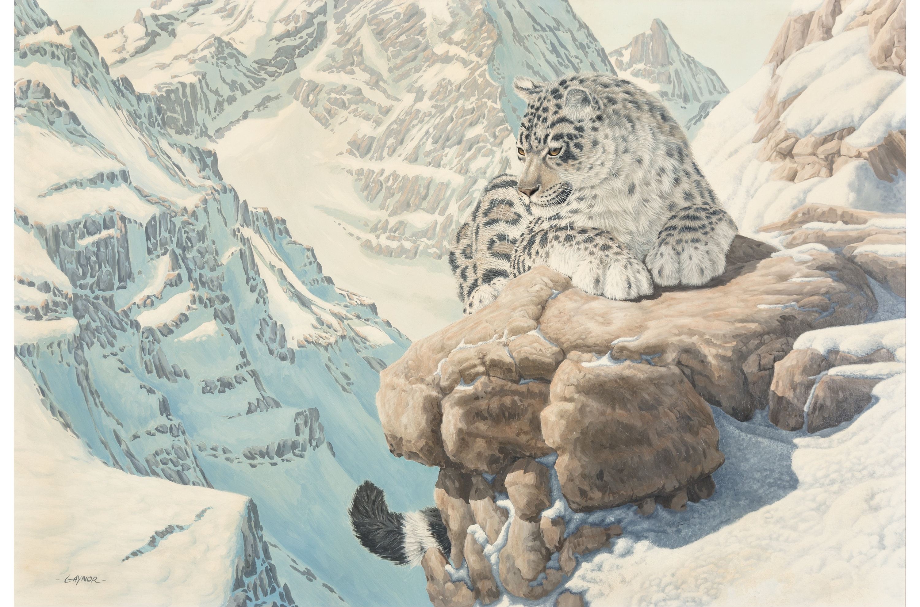 Richard Gaynor | Snow Lepord | MutualArt