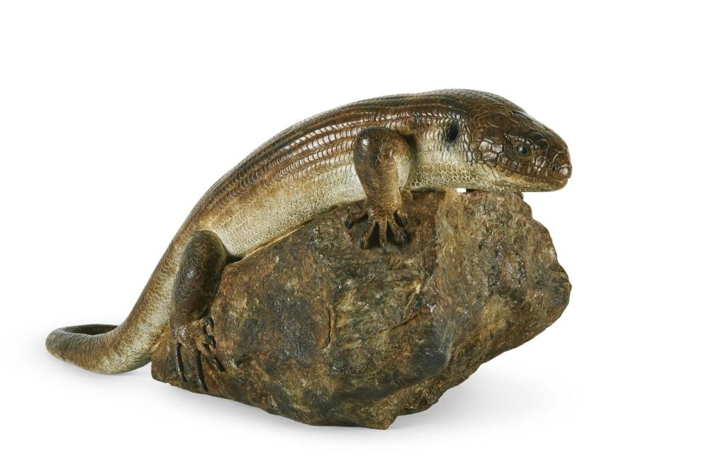 Nick Bibby | Mauritius Giant Skink (2003) | MutualArt