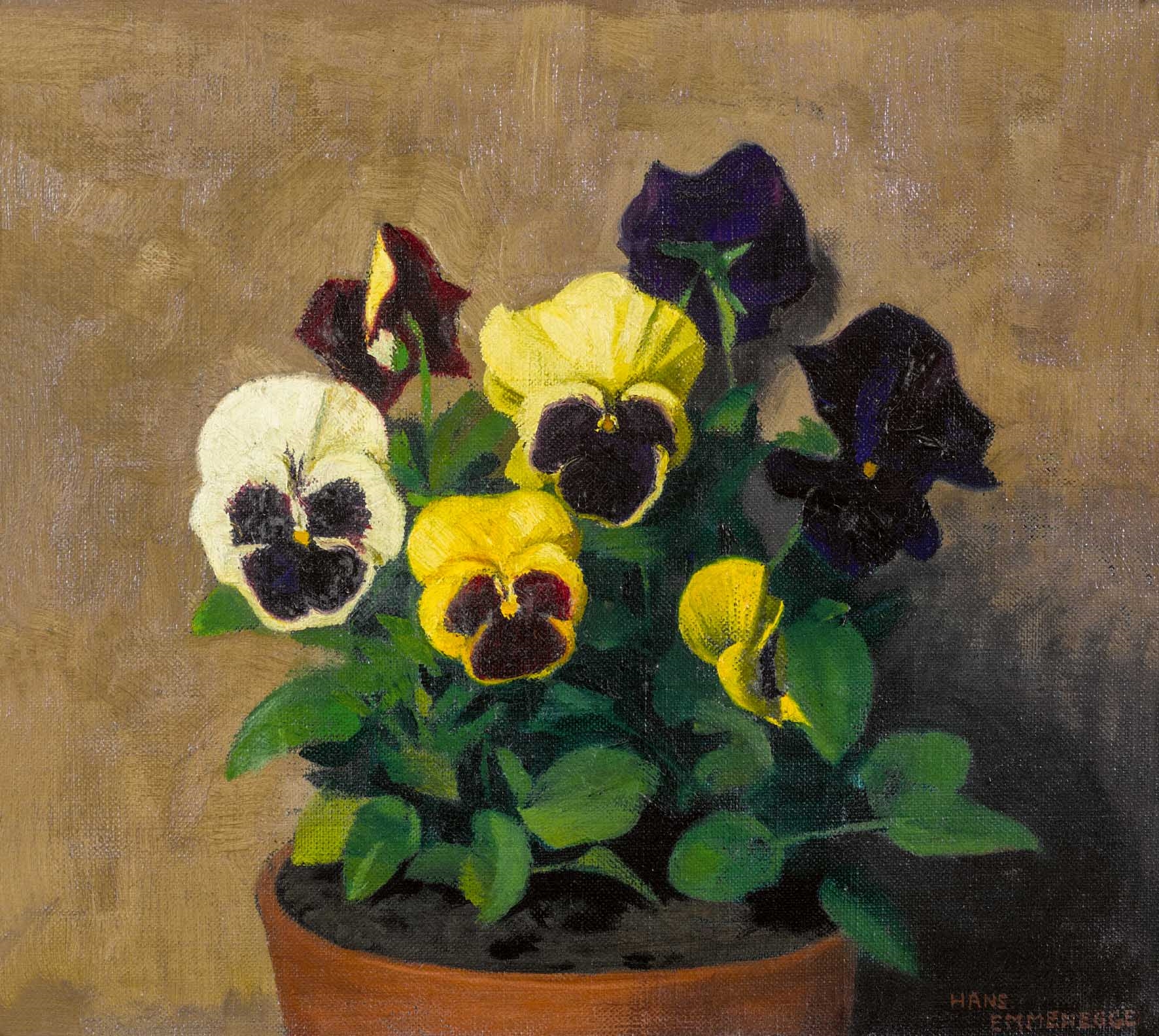 Hans Emmenegger | „Stiefmütterchen“ | MutualArt