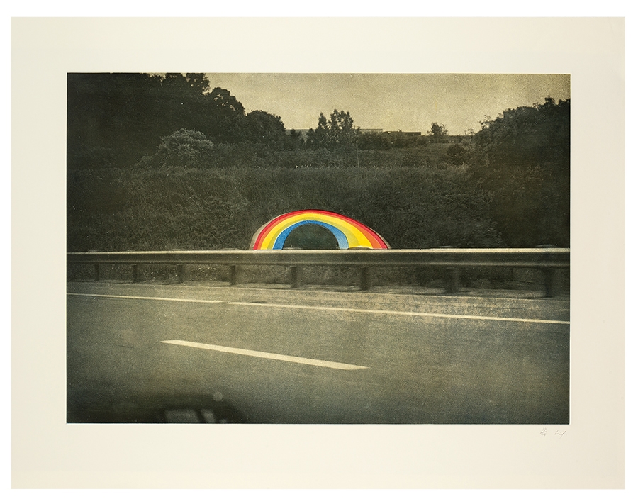 Peter Doig | Pinto (from 100 Years Ago) | MutualArt